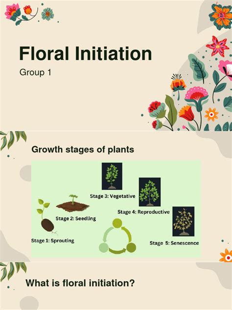 Floral Initiation F Pdf Flowers Organisms