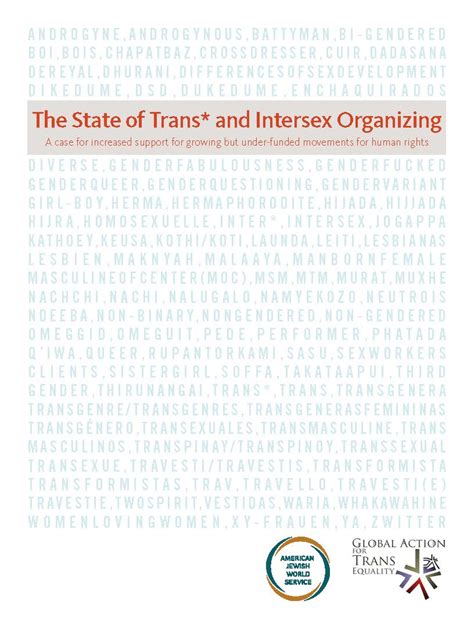 The State Of Trans And Intersex Organizing 2013 — Gate Global Action For Trans Equality