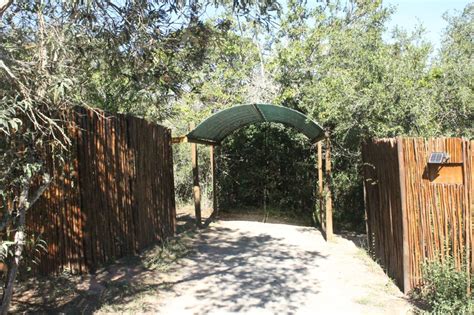 Couples Treetop Suites Teniqua Treetops Self Catering Accommodation