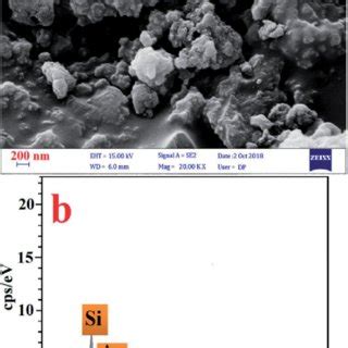 A SEM Image And B SEM EDX Spectrum Of PTPSA SiO Fe O Download Scientific Diagram
