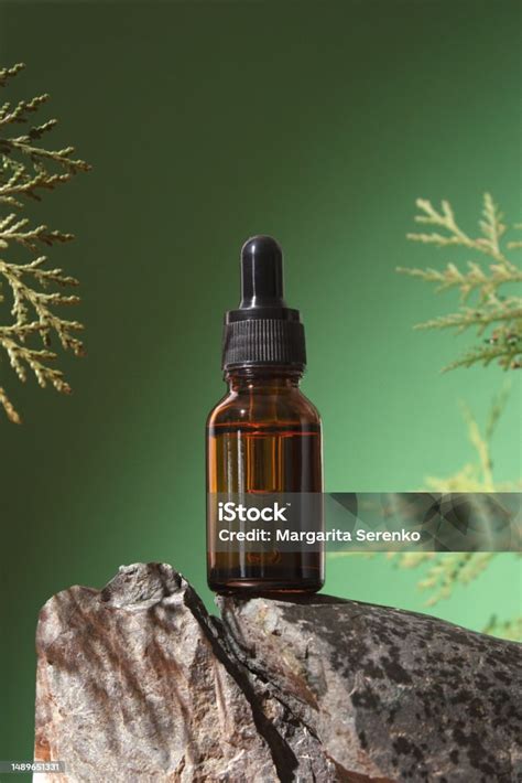 Thuja 가지가 있는 녹색 배경에 화장품 오일 에센셜 또는 세럼이 있는 유리 스포이드 병 Spa 천연 유기농 화장품 포장 디자인 모형에 대한 스톡 사진 및 기타 이미지