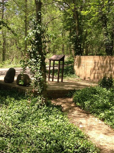 A Reading Room Installation By Harriet Bart