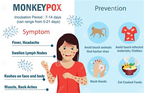 What Is Monkeypox Virus
