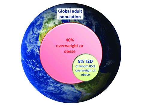 The Global Prevalence Of Obesity And Type 2 Diabetes Source Data Of