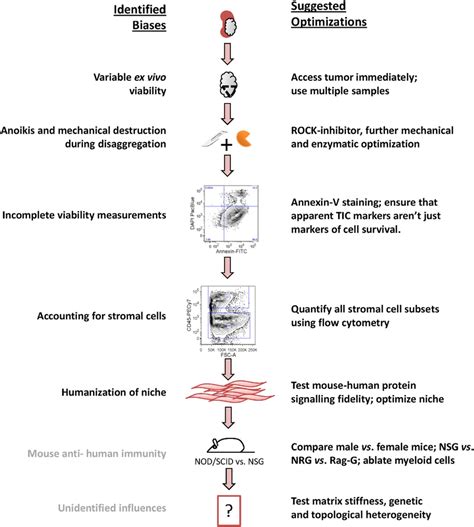 Summary Of Identified Biases And Suggested Optimizations We Show That