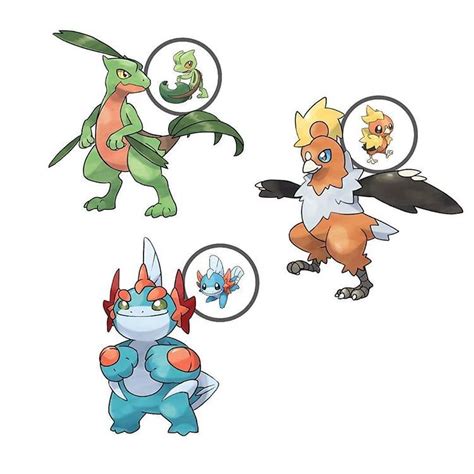 Treecko Evolution Chart