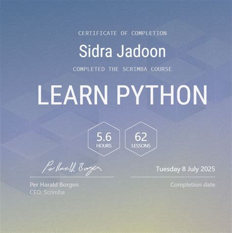 Python Learningjourney Scrimba Certificate Internship Teamsupport