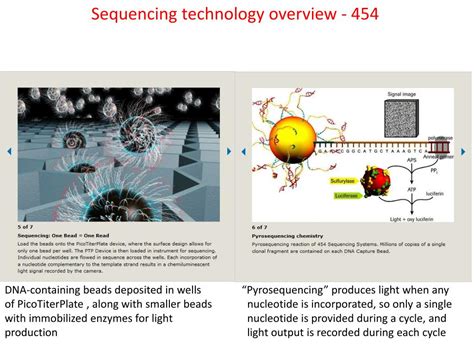 Ppt Bit 815 Analysis Of Deep Sequencing Data Powerpoint Presentation Id1582851