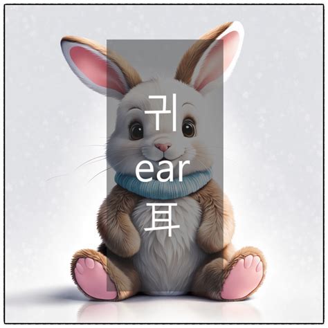 보건업무 보건실처치 보건지원강사 감각계청각1 귀의 구조와 역할청각기관의 건강사정청력검사 네이버 블로그