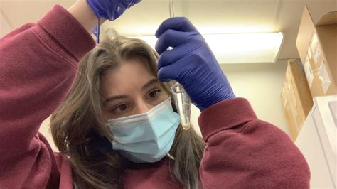 North Atlantic Orcas Reveal The Troubling Persistence Of Toxic Ocean