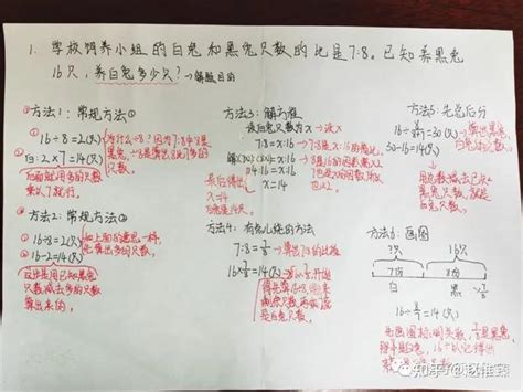 “总分总”解决问题结构展示 知乎