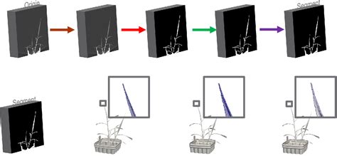 Figure 1 From Influence Of Vegetation Canopy Architecture On Dynamics Of Spatiotemporal Light