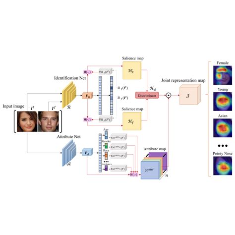 The Framework Of Joint Representation Map Generation There Need Two