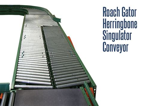 Gator Herringbone Singulator Conveyor Transfer And Merge Conveyor
