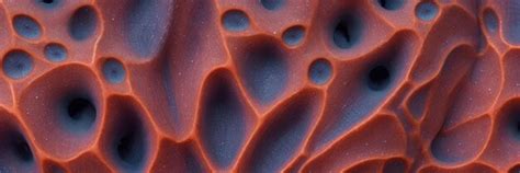 Premium Ai Image Epithelial Endothelium Endothelial