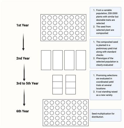 mass selection method procedure applications merits demerits