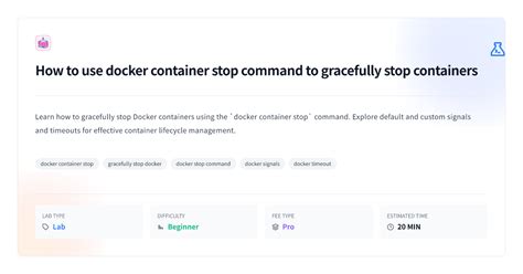 Docker Container Stop 명령어 사용법 컨테이너 안전하게 중지하기 Labex