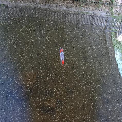 Floating Object Detection Dataset V2 2023 06 22 512pm By Floating