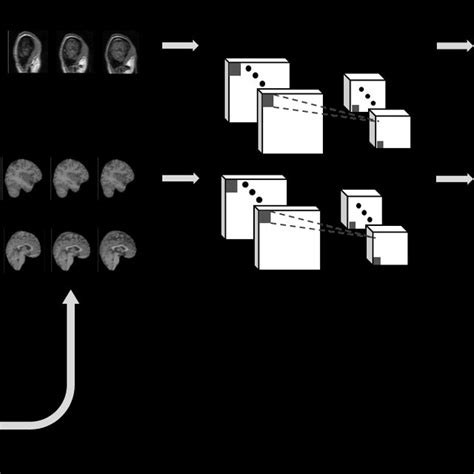 flowchart of proposed brain extraction algorithm download scientific