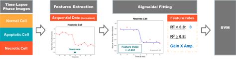 Flowchart Of Feature Extraction And Sequential Data Analysis Download Scientific Diagram