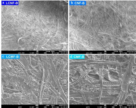 A FE SEM From Surface Of LCNF B B CNF B C LCMF B D CMF B Download Scientific Diagram
