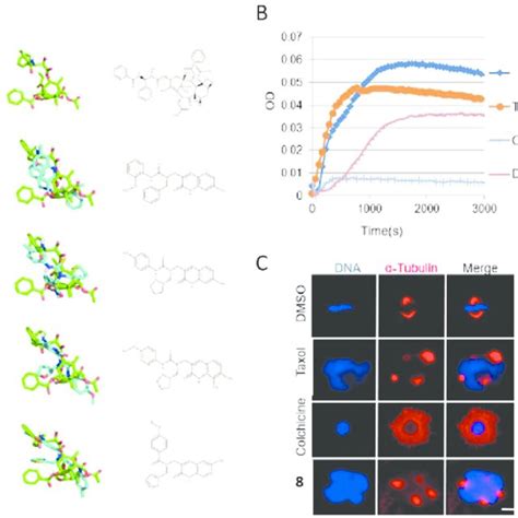 Chemical Similarity Search Using 2d Chemical Fingerprints Download