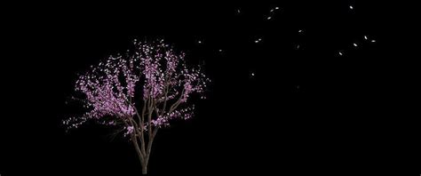 animated cherry blossom tree and falling leaves particle system 3d