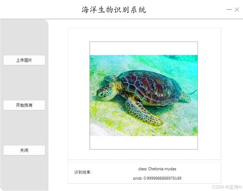 基于卷积神经网络的海洋生物识别系统，resnet50，efficentnet（pytorch框架，python代码）csdn海洋生物识别 Csdn博客