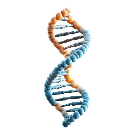 Dna Helix Structure Laboratory Scientific Image Close Up 56486419 Png