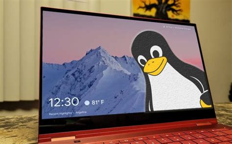 How To Install Linux Apps On Chromebook 3 Methods