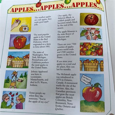 Apples New And Updated Edition