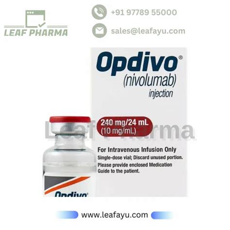 Opdivo 240 Mg At Rs 5000vial Opdivo Injection In Muzaffarnagar Id