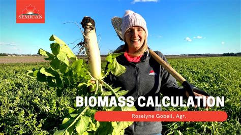 Biomass Calculation YouTube