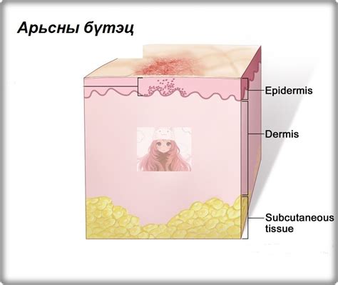 НҮҮРНИЙ АРЬСНЫ ҮҮРЭГ БҮТЭЦ Цуврал 1 Агиймаа Норовжав Facebook