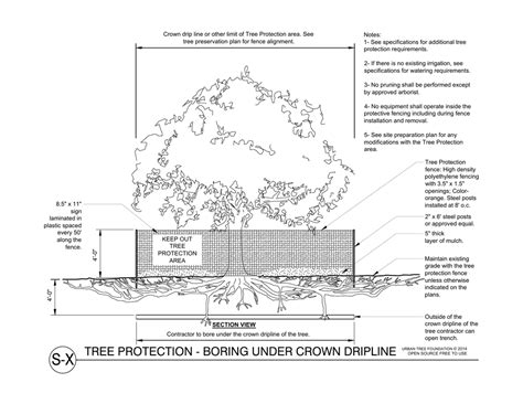 How To Determine The Drip Line Of A Tree At Cecila Whitworth Blog
