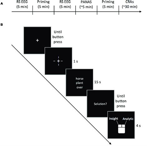 A Experimental Procedure Timeline And B Cra Procedure Download
