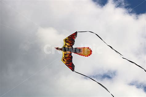 연 연날리기 민속놀이 전통놀이 놀이 사진 이미지 일러스트 캘리그라피 청랑작가