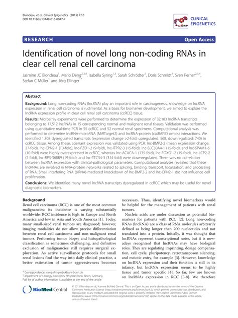 Pdf Identification Of Novel Long Non Coding Rnas In Clear Cell Renal