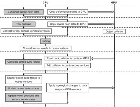 Processing Steps Of A Single Simulation Frame Dashed Lines Represent