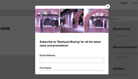 How Do I Add The Javascript Code From Mailchimp For Subscriber Pop Up