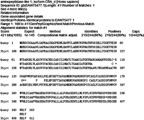 Human Aminopeptidase 1 Mutant Protein And Application Thereof Eureka Patsnap Develop