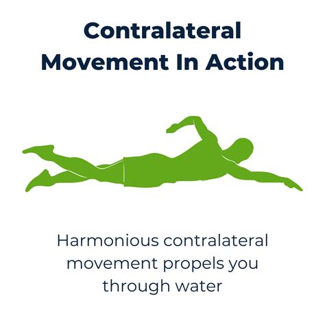 Contralateral Movement