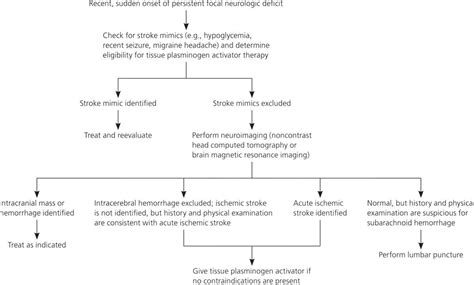 Unveiling The Untrodden Path A Novel Algorithm For Ischemic Stroke