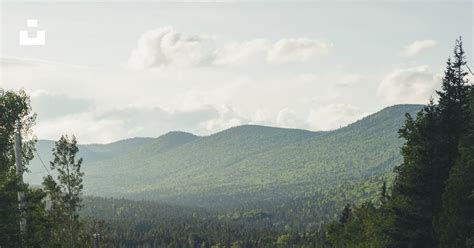 낮 동안 흰 구름 아래 푸른 나무 사이의 회색 콘크리트 도로 사진 Unsplash의 무료 길 이미지