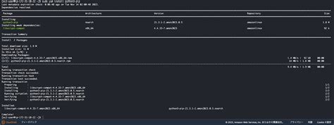 Social Optimization Systems Laboratory Ec2でjupter Notebookをインストールする