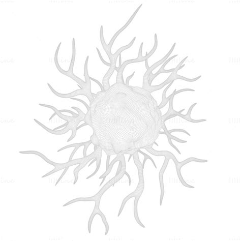 Cancer Cell 3d Model