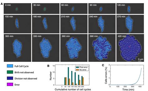 Segmentation Of Proliferation From Single E Coli Cells Panel A Frame