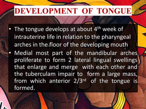 DEVELOPMENT OF FACE PPTX