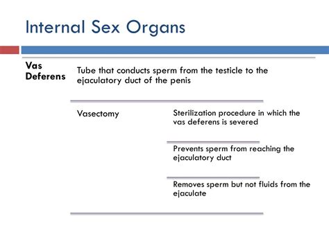ppt male sexual anatomy and physiology powerpoint presentation free