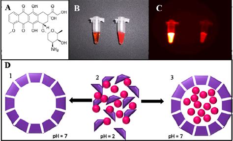 A Chemical Structure Of Doxorubicin Dox B Photograph Of